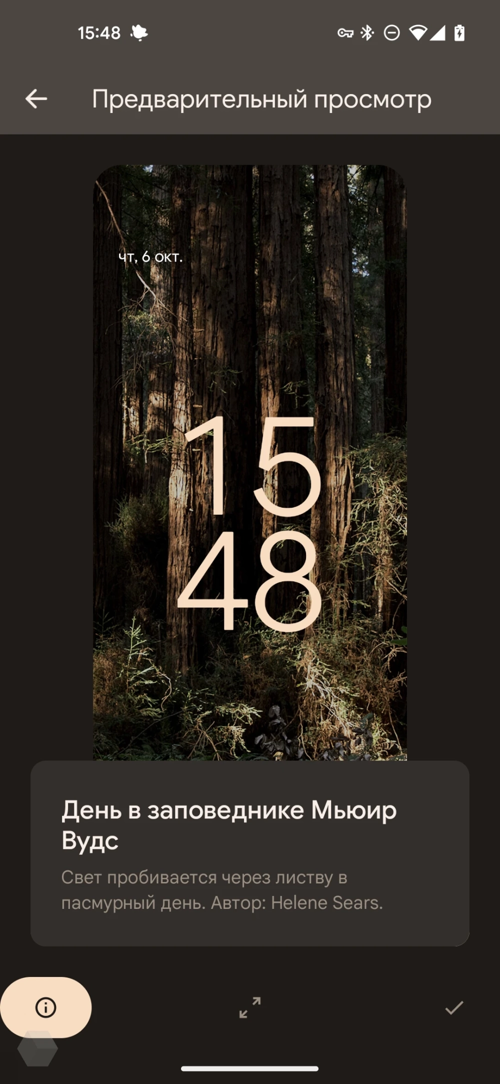 Google пополнила коллекцию обоев Community Lens для Pixel - Rozetked.me